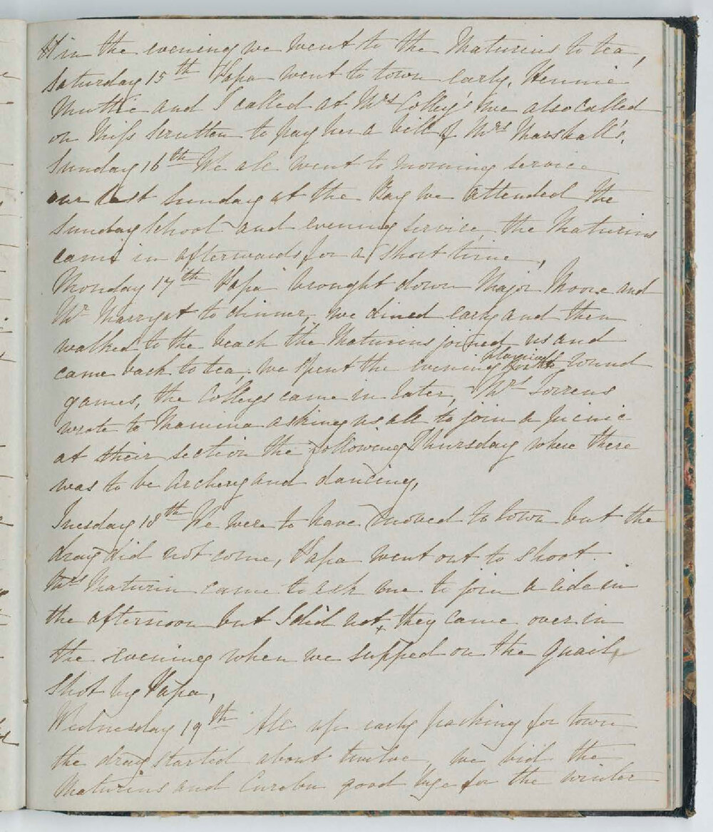 Diary of Grace Montgomery Howard, volume 3 | State Library of South ...